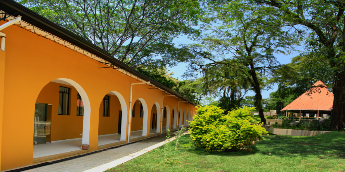 Universidad de los Llanos