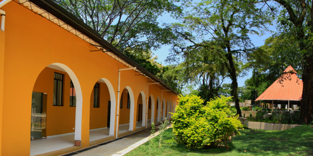 Universidad de los Llanos